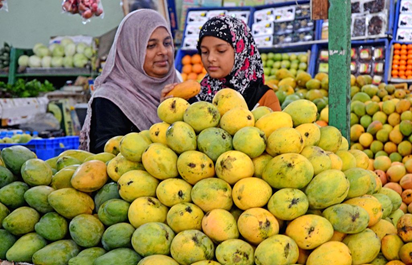 Gujarat mango exports rise to 856 MT in 2024–25